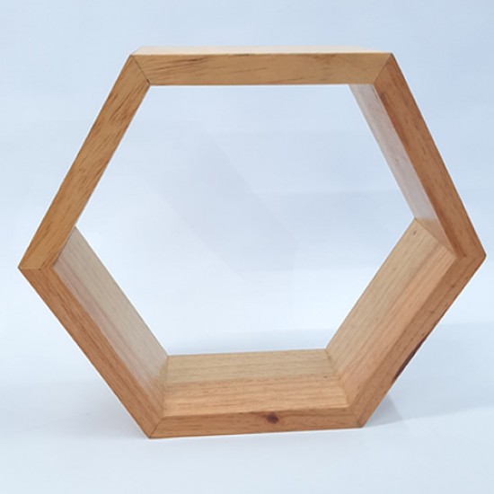 Nicho Hexagonal sem fundo